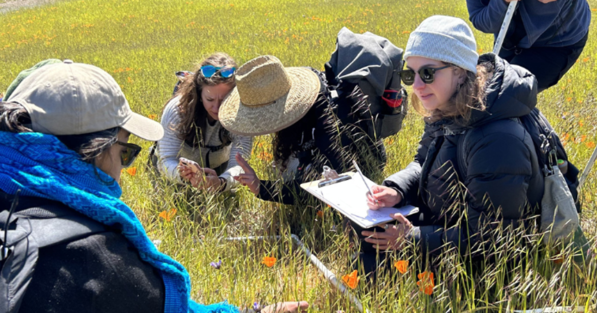 IMMP Training • Monarch Joint Venture