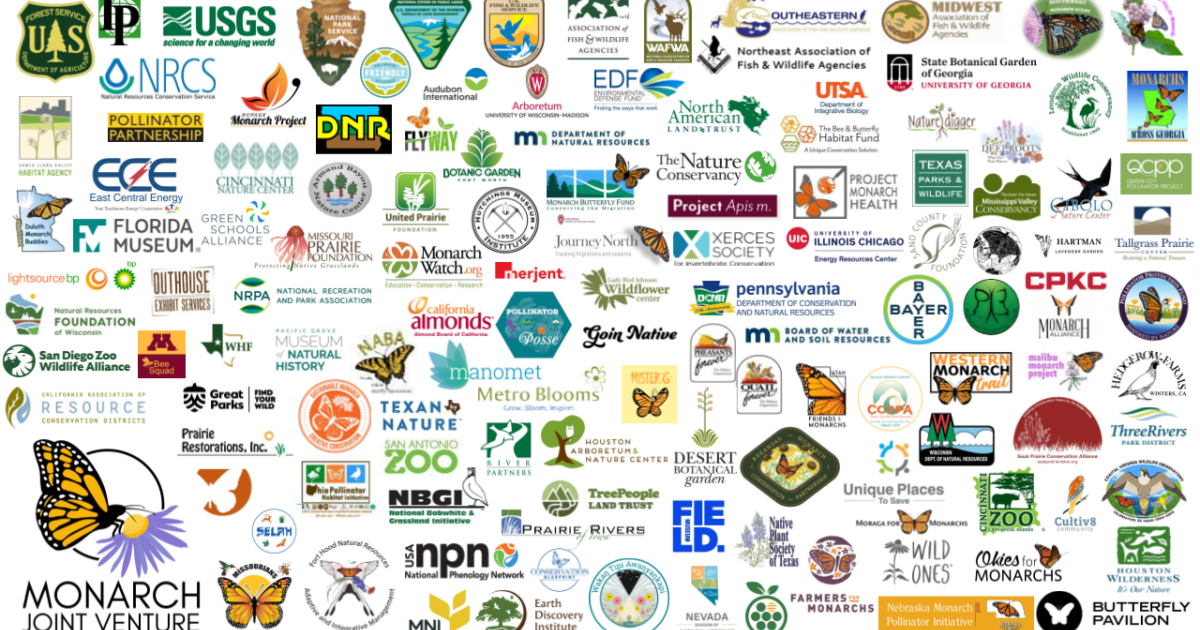 Partnership • Monarch Joint Venture