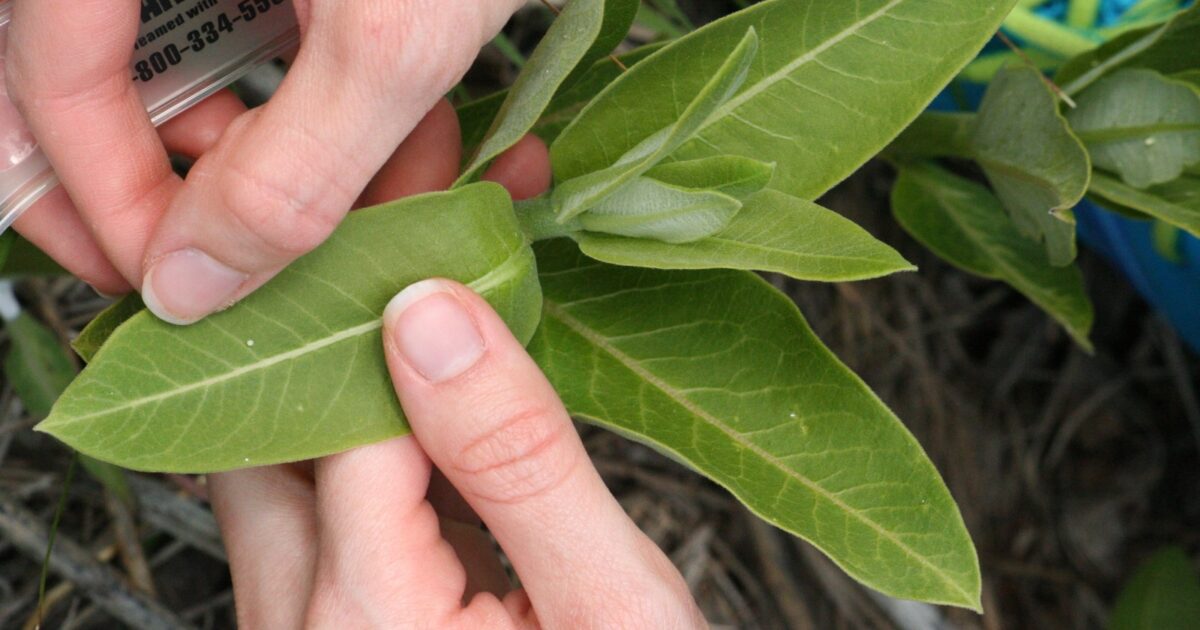 Protocols & Datasheets • Monarch Joint Venture