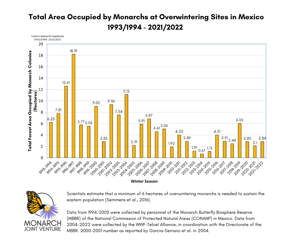 Eastern Monarch Population Holds Steady at… • Monarch Joint Venture