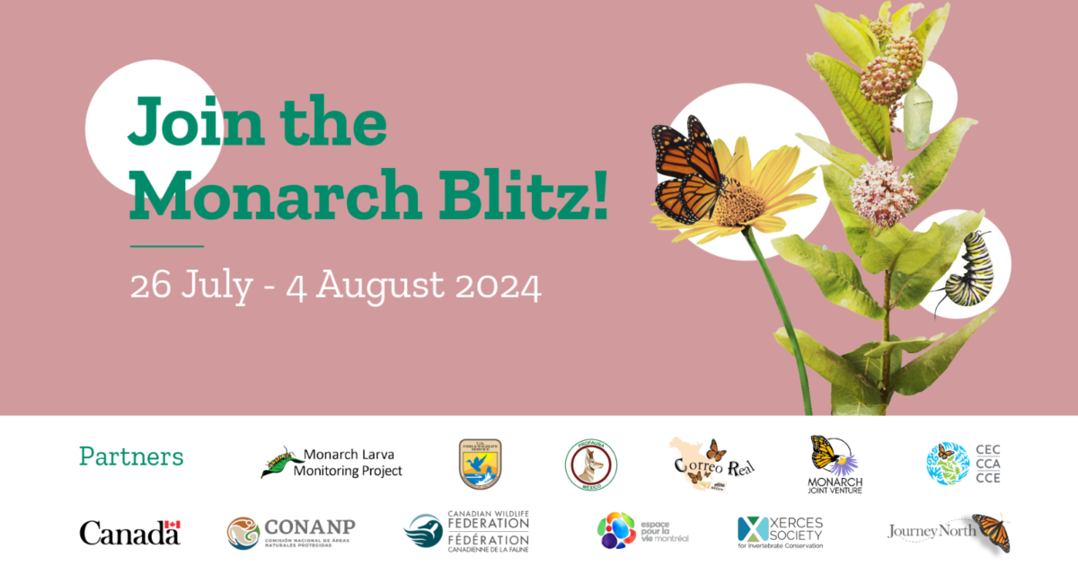 Help Raise Awareness and Support Monarch… • Monarch Joint Venture