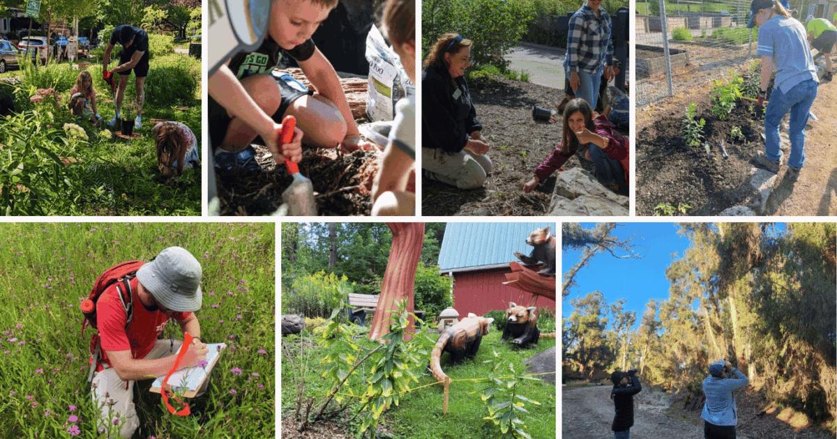 What is AZA SAFE? A Look Inside Zoo and… • Monarch Joint Venture