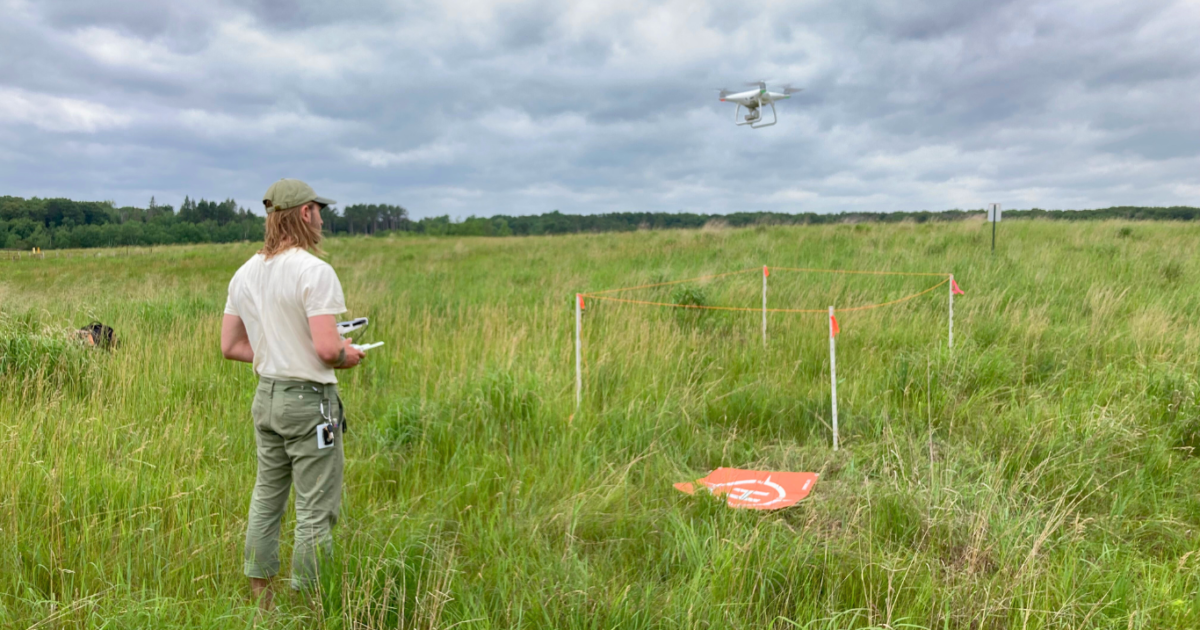 Celebrating 2024’s Remote Sensing Program… • Monarch Joint Venture