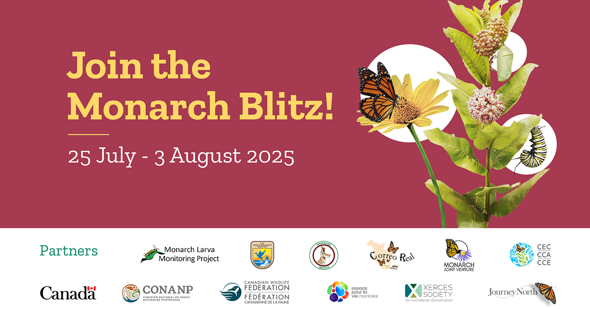 Small Actions, Big Impact: Support Monarch… • Monarch Joint Venture