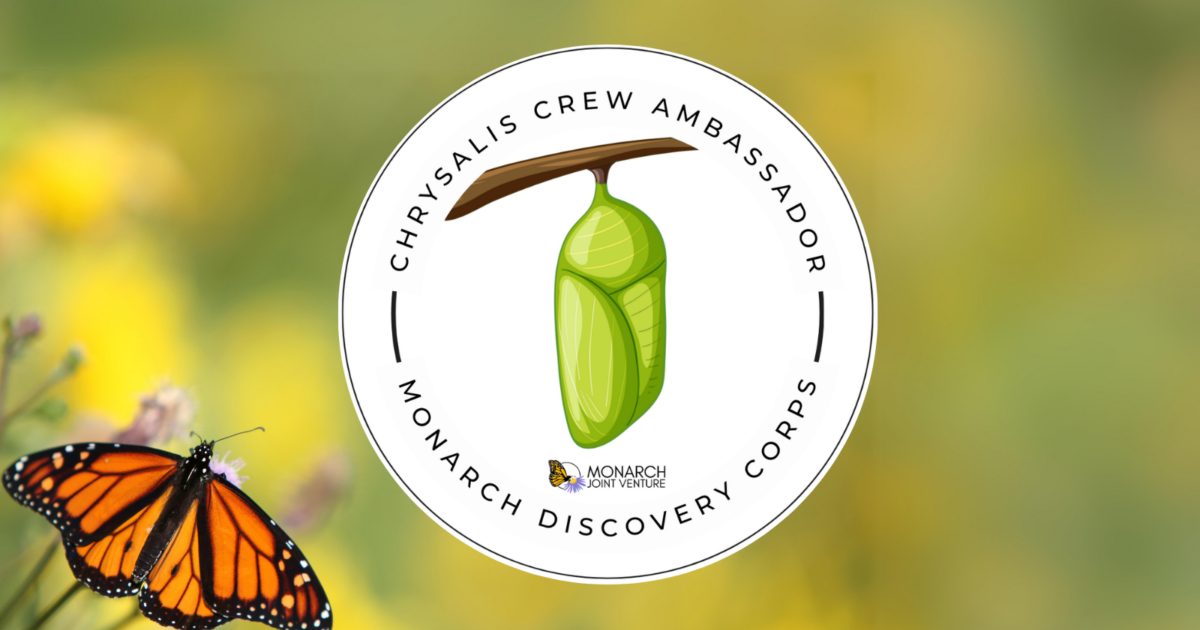 Discover the Monarch NECTAR Hub: Your Gateway… • Monarch Joint Venture