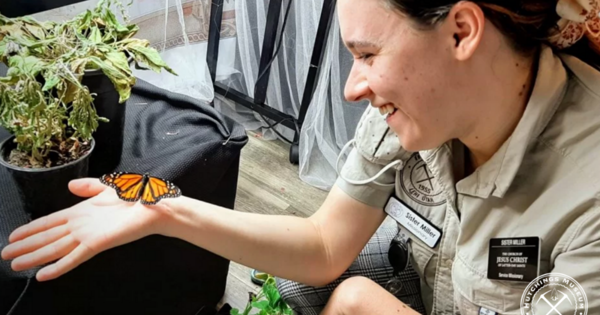 The Hutchings Museum Institute has joined the… • Monarch Joint Venture