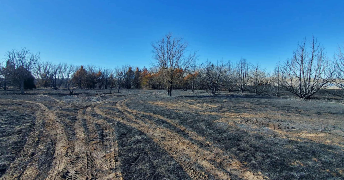 MJV awarded NEEF biodiversity conservation… • Monarch Joint Venture