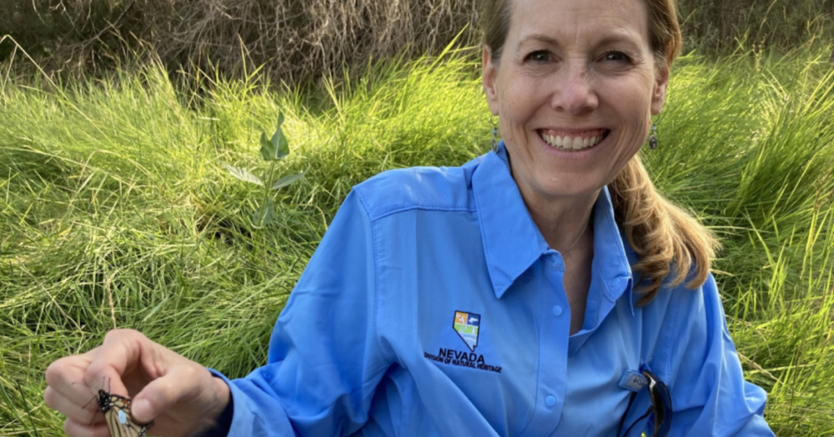 Nevada Division of Natural Heritage joins the… • Monarch Joint Venture