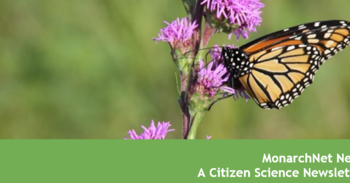 MonarchNet News, November 2015 • Monarch Joint Venture