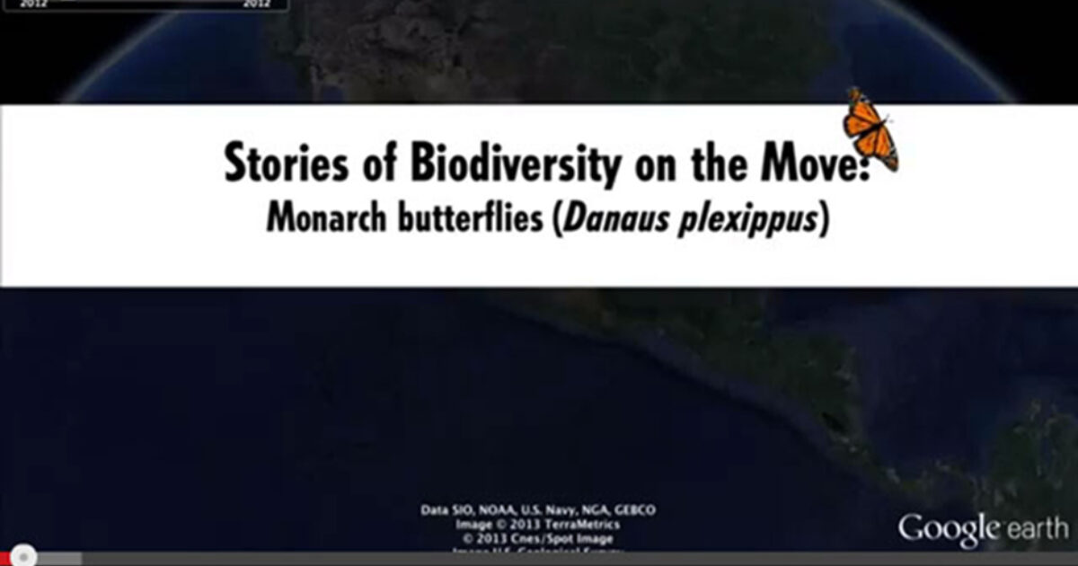 Monarch Butterfly Google Earth Tour • Monarch Joint Venture