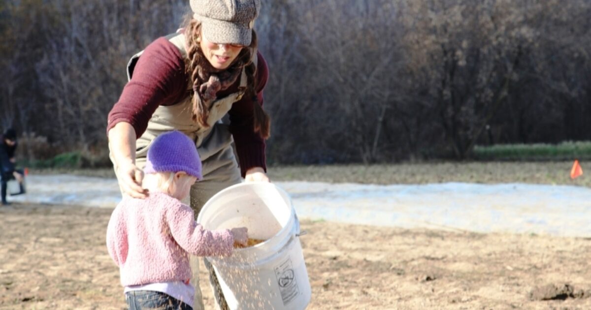 Monarch Habitat on Farms in the Agricultural… • Monarch Joint Venture