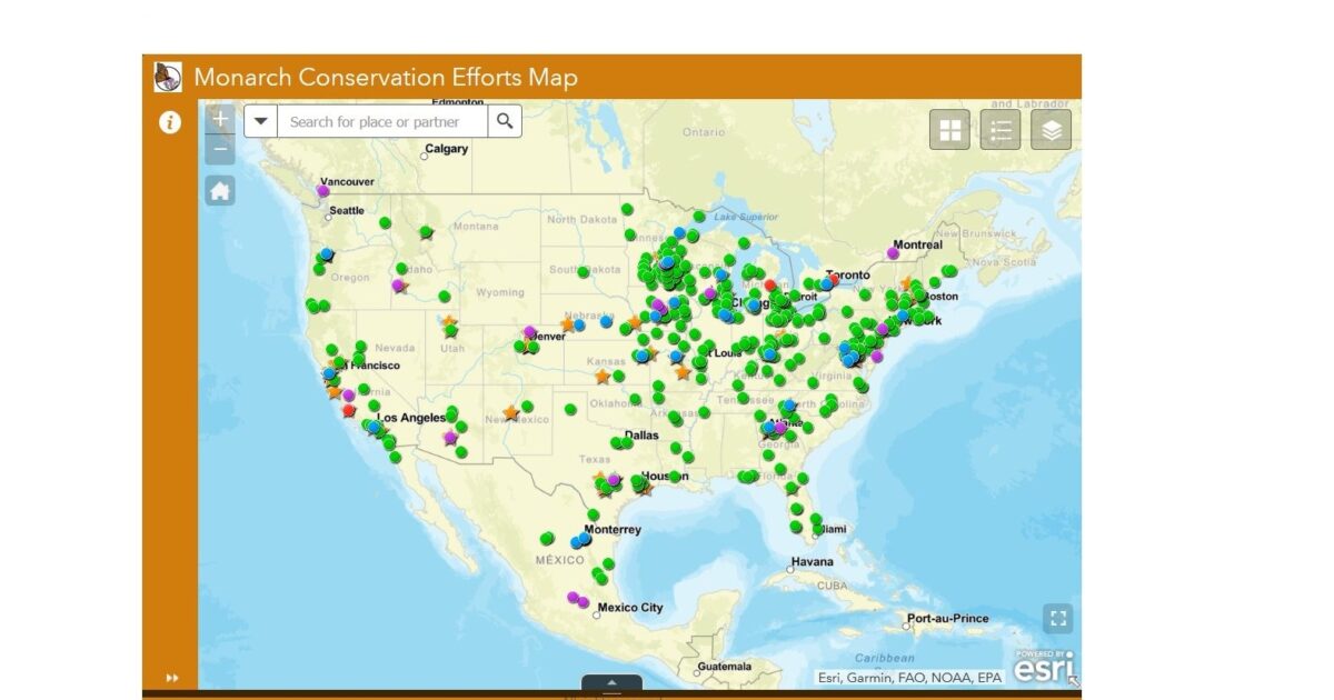 New tool connects people with monarch… • Monarch Joint Venture